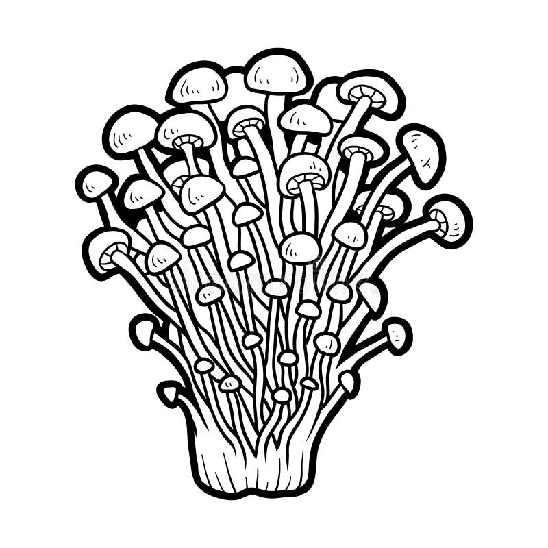 Set of japanese mushrooms stock vector. Illustration of matsutake ...