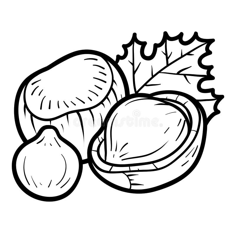 Coloring book, Hazelnut stock vector. Illustration of child - 111201871
