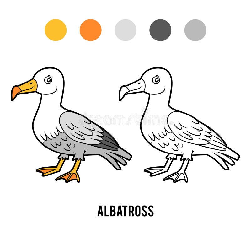Albatross Outline Vector Icon. Thin Line Black Albatross Icon, Flat ...