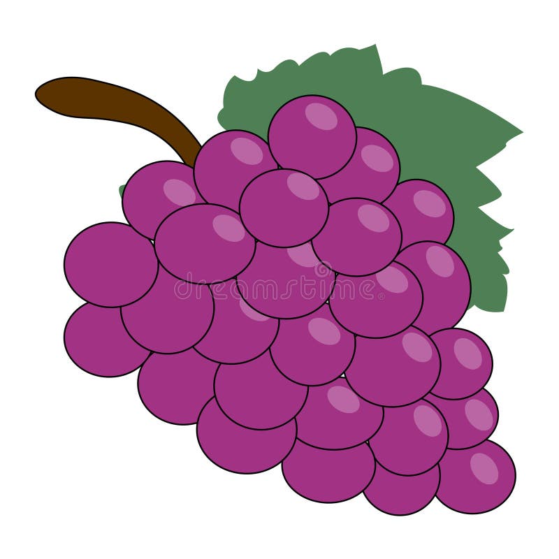 Coloring Book for Kids, Grapes Vector Stock Vector - Illustration of ...