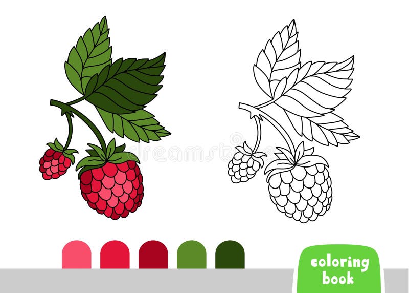 Coloring Book for Kids Raspberry Page for Books Magazines Coloring ...