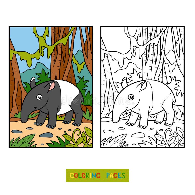 Coloring Book, Malayan Tapir Stock Vector - Illustration of color ...