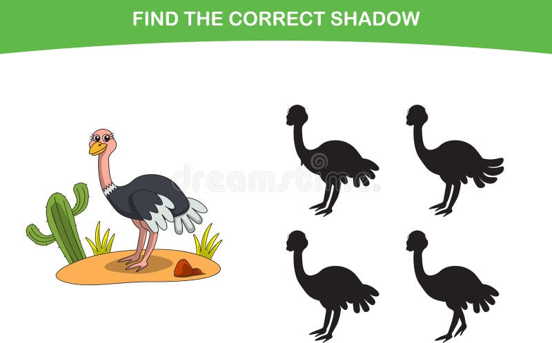 Cute Ostrich. Find the Correct Shadow Stock Vector - Illustration of ...