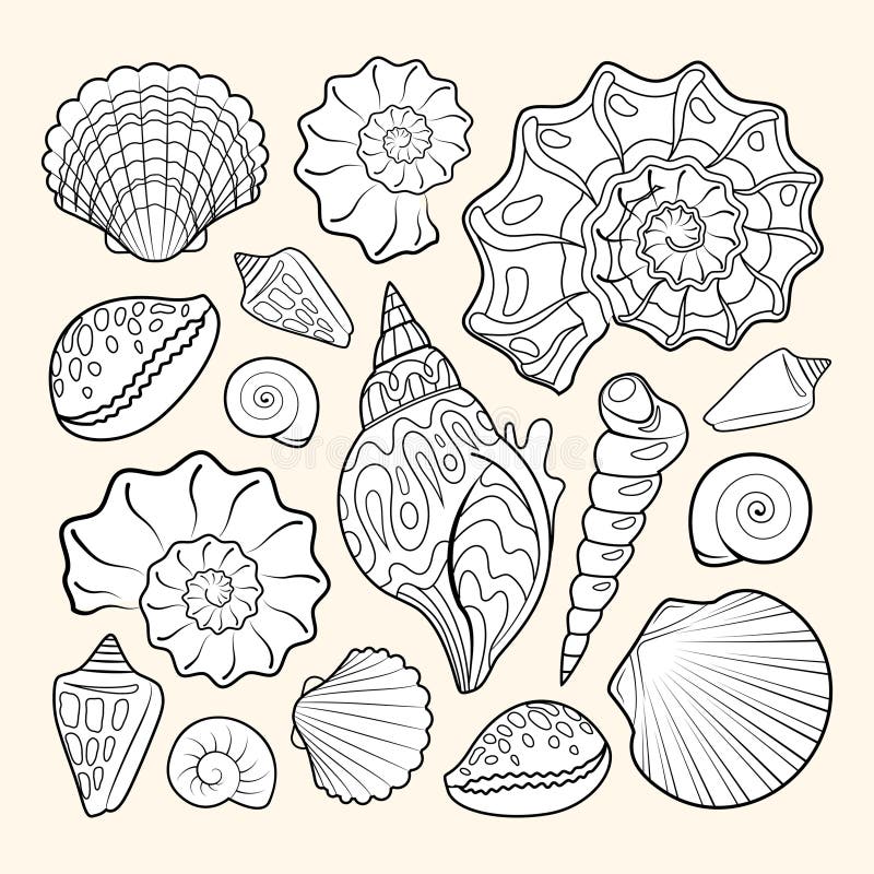 Isolated Seashells Coloring Stock Illustrations – 299 Isolated ...