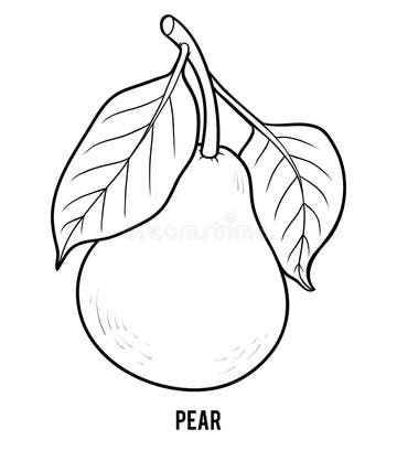 Pear Tree Coloring Stock Illustrations – 191 Pear Tree Coloring Stock ...
