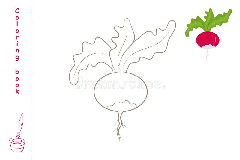 Coloring Book Radish with Example Stock Vector - Illustration of health ...