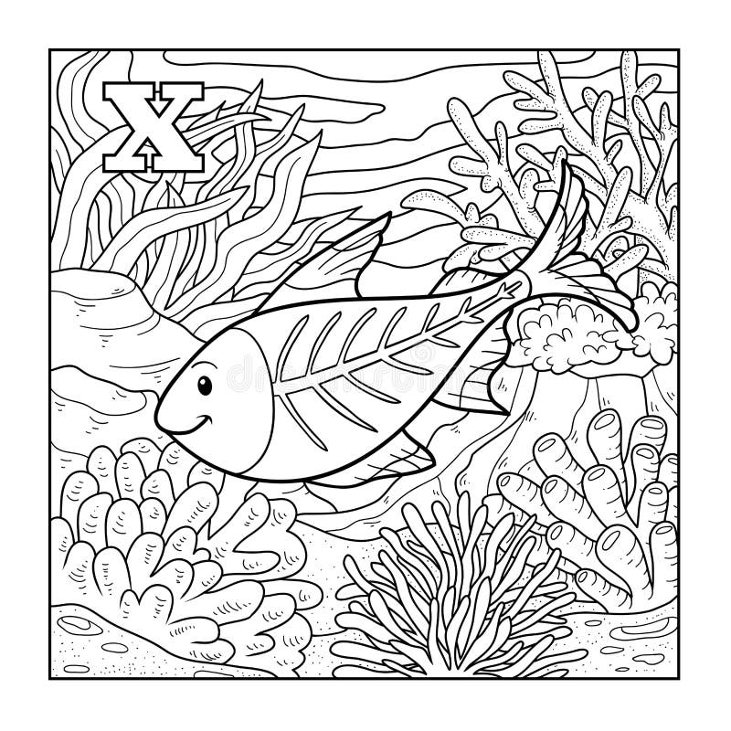 X Ray Fish Coloring Page Coloring Home