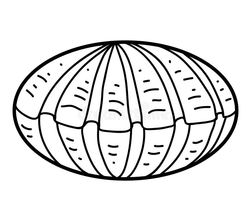 Shell Circle Stock Illustrations – 10,372 Shell Circle Stock ...