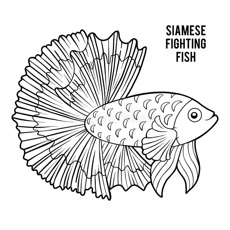 Coloring Book, Siamese Fighting Fish Stock Vector - Illustration of ...