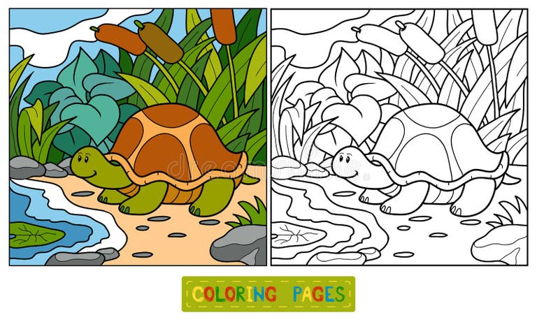 Swamp Coloring Stock Illustrations – 1,041 Swamp Coloring Stock ...
