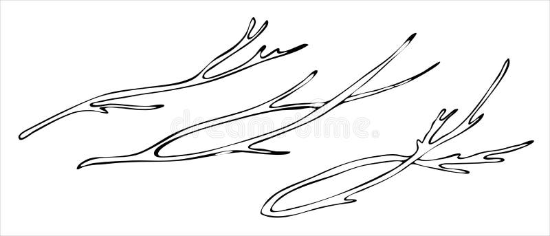 Coloring Book, Twig, Vector Set Element in Doodle Style Stock Vector ...