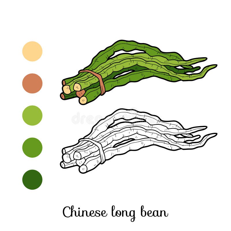 Long Bean Stock Illustrations – 2,925 Long Bean Stock Illustrations ...