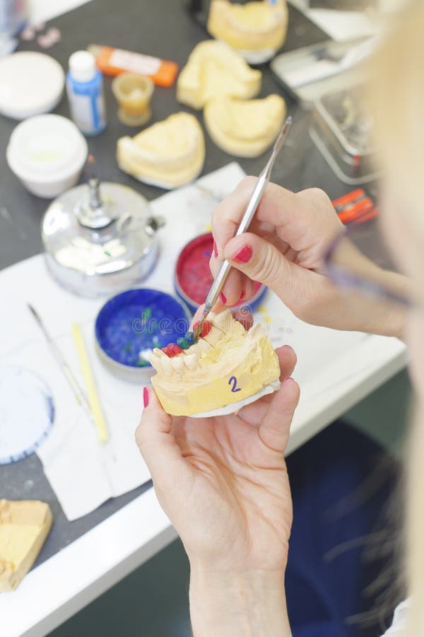 Tooth Coloring Stock Photos - Free & Royalty-Free Stock Photos from ...