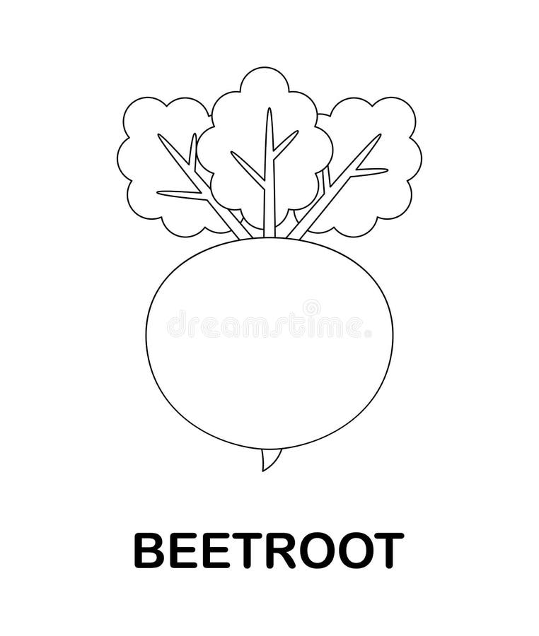 Coloring Page with Beetroot for Kids Stock Vector - Illustration of ...