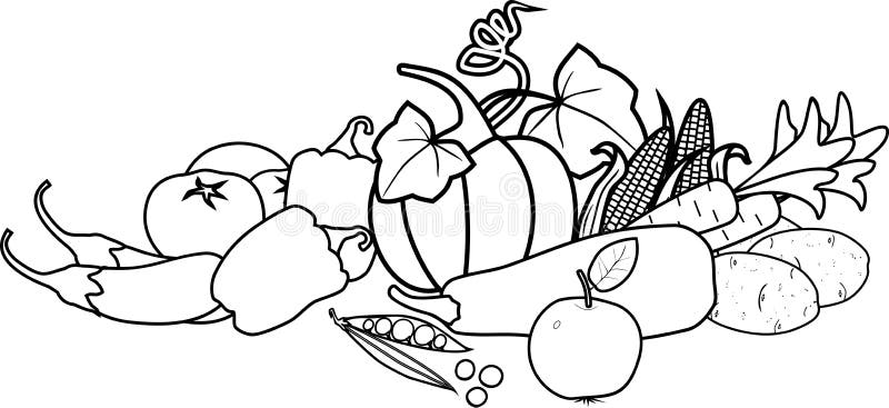 All Different Coloring Pages