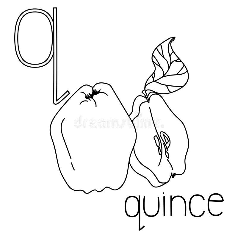 Quince Coloring Coloring Pages