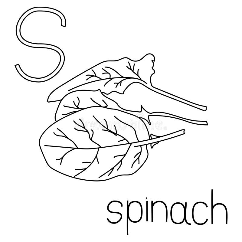 Coloring Page Fruit and Vegetable ABC, Letter S - Spinach, Educated ...