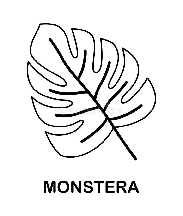 Coloring Page with Monstera for Kids Stock Vector - Illustration of ...