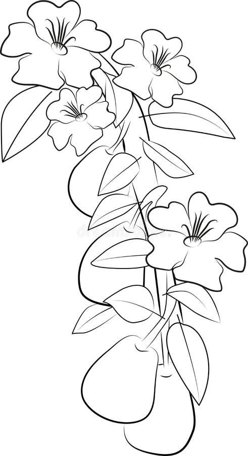 Pear Tree Coloring Stock Illustrations – 122 Pear Tree Coloring Stock ...