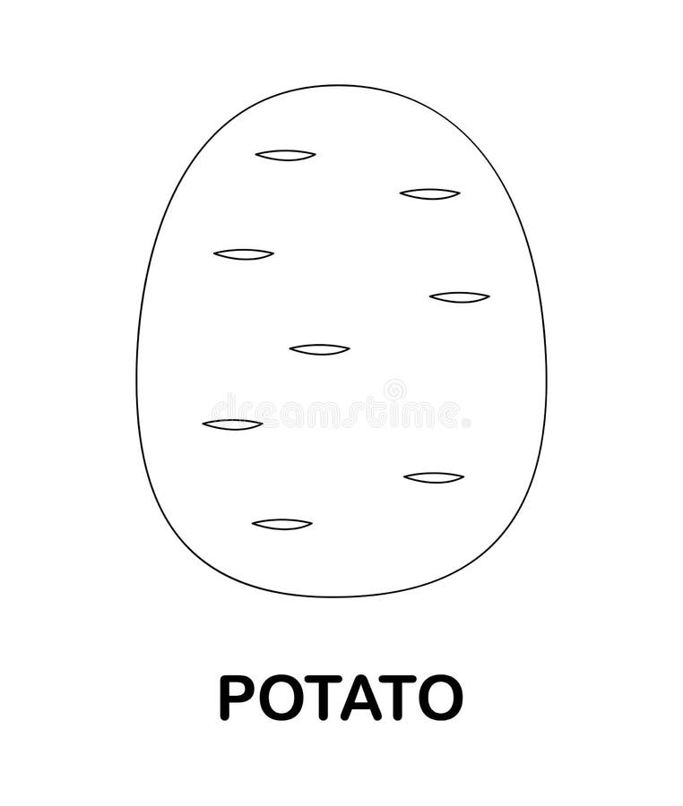 Potato Outline Coloring Stock Illustrations – 250 Potato Outline ...