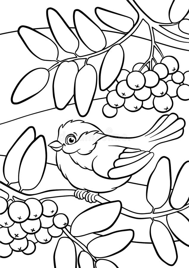 Coloring Pages. Birds. Little Cute Titmouse. Stock Vector ...