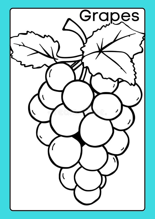 Coloring Pages - Fruits - 3 Stock Illustration - Illustration of ...