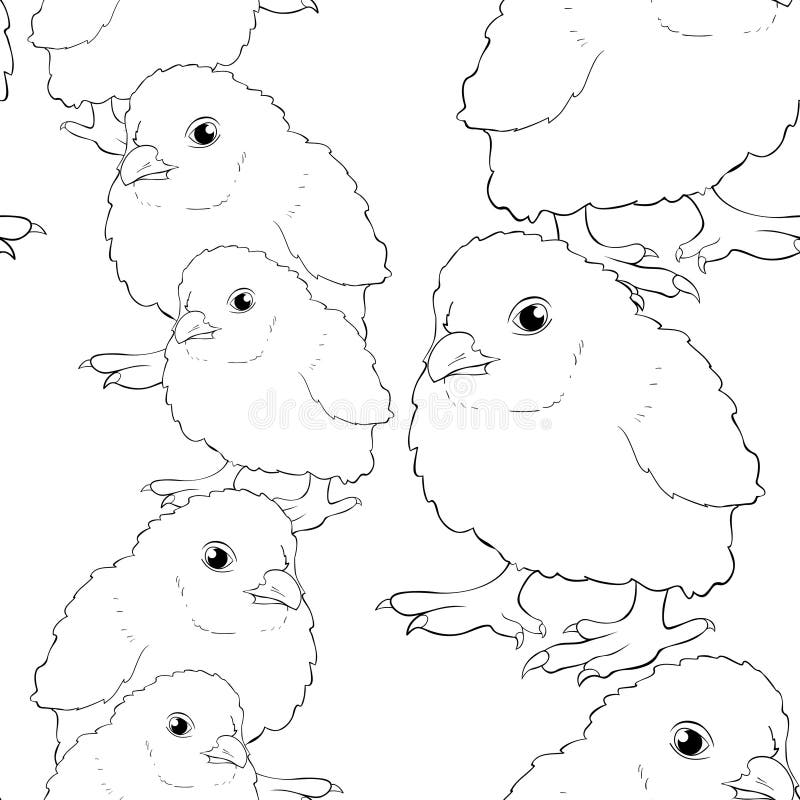 Seamless Pattern is Chicken Baby. Vector Illustration Stock Vector ...