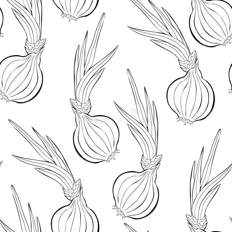 Seamless Pattern is Onion Organic Vegetables. Vector Illustration Stock ...
