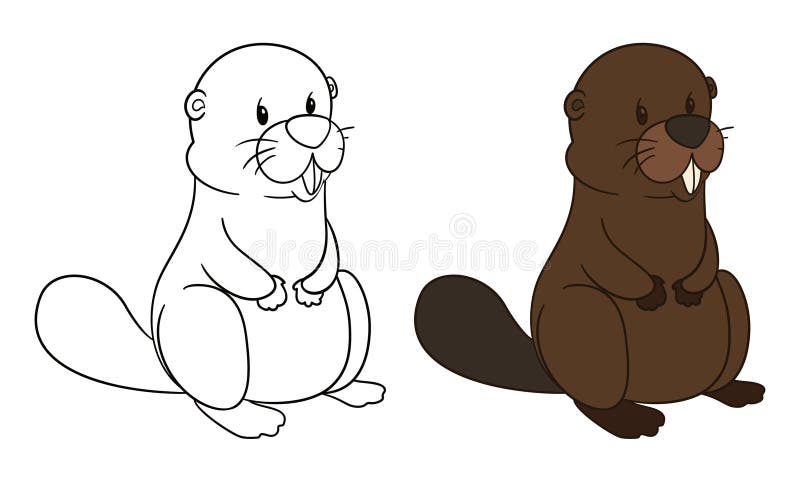 Coloring Set of Cute Beavers in Outline and Color Versions, Vector ...