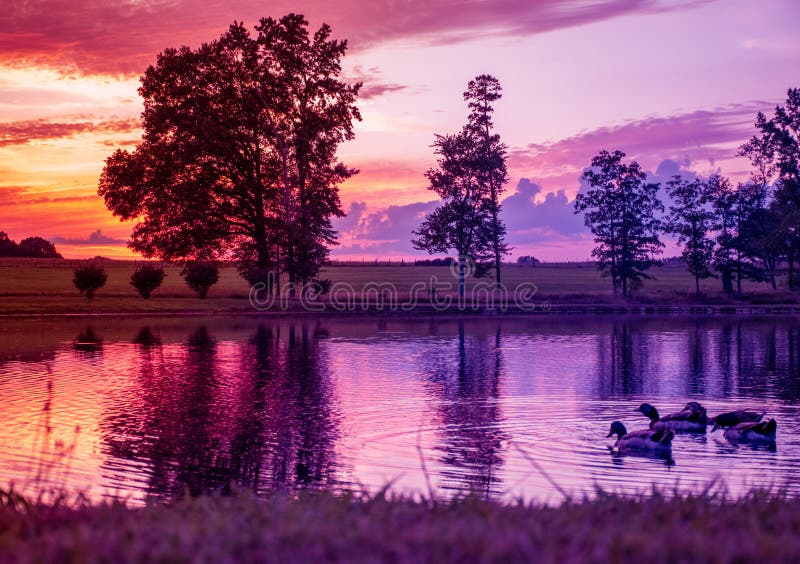 A Colorized Photo of a Pond at Sunset Stock Image - Image of sunlight ...