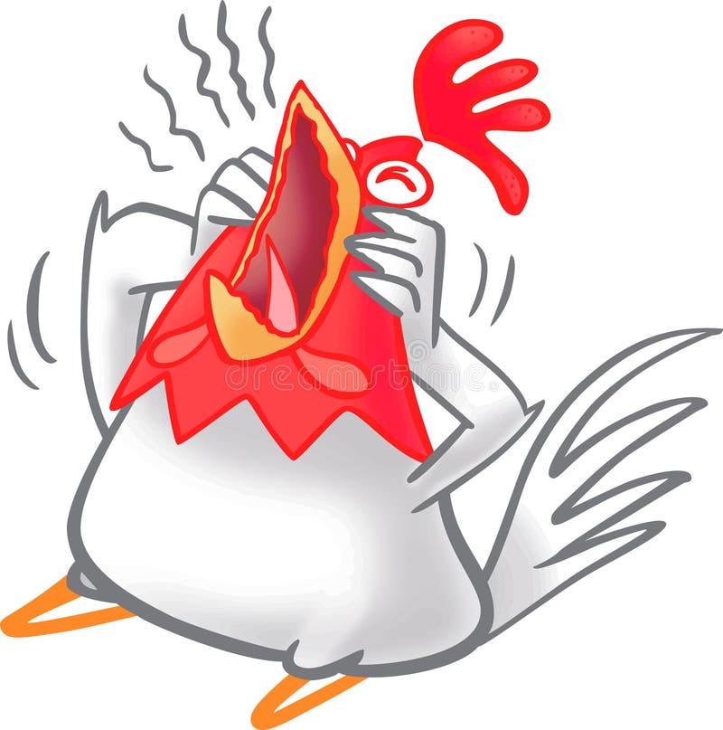 Colorkey Curious Chicken 30 OMG! Oh My God! Stop Making Noise! Stock ...