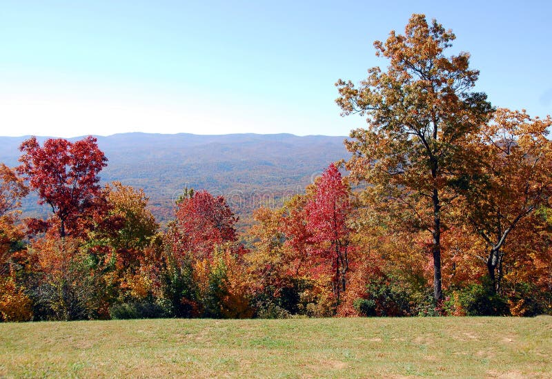 Colors of autumn stock image. Image of texture, colorful - 6974971