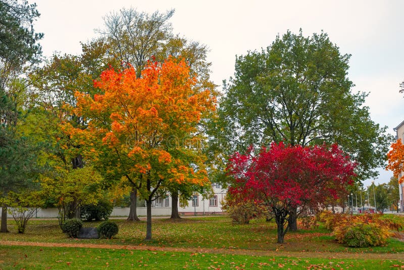 Colors of autumn stock photo. Image of yellow, fall, september - 67156228