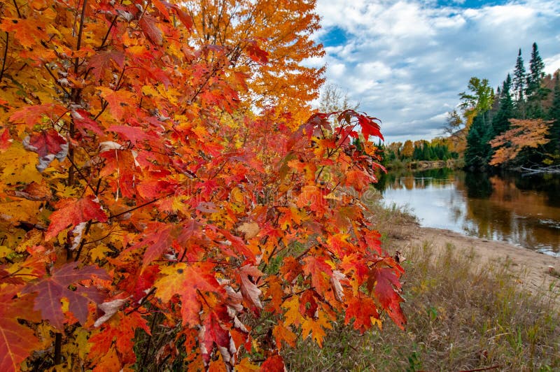 Colors of Autumn in Canada stock image. Image of environment - 125146851