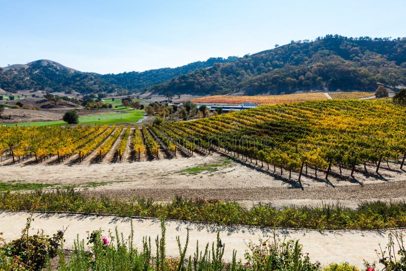 Colors of Autumn stock image. Image of foliage, colorful - 35941053