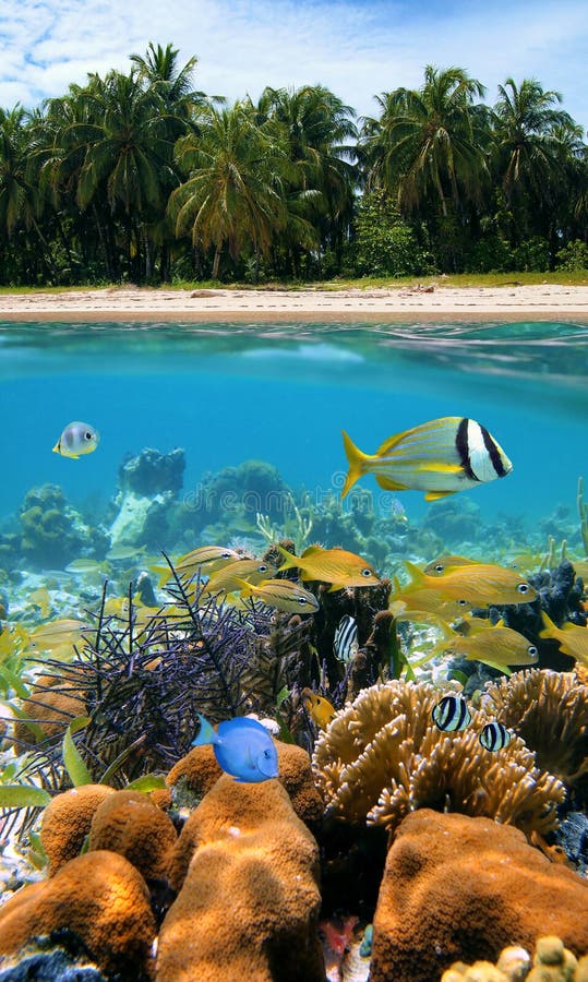 Colors of Caribbean sea stock image. Image of colombia - 21456929