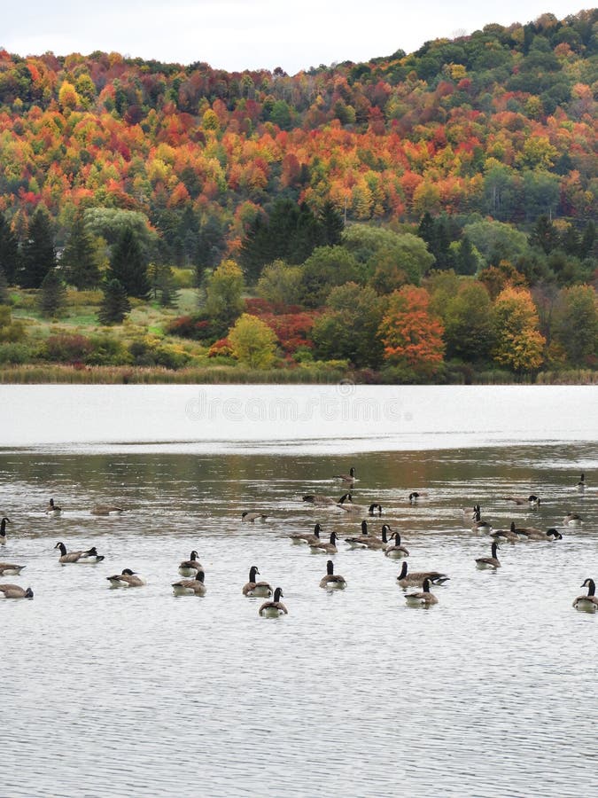 Fall Tree Colors on Dryden Lake in Central New York Stock Photo - Image ...