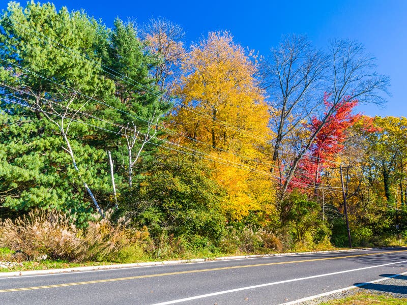 Colors of the fall foliage stock photo. Image of green - 102369334
