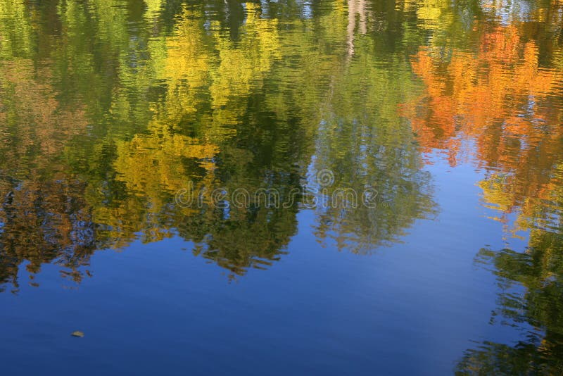 Reflection of Autumn Trees and Sky , Clouds in the River Stock Photo ...