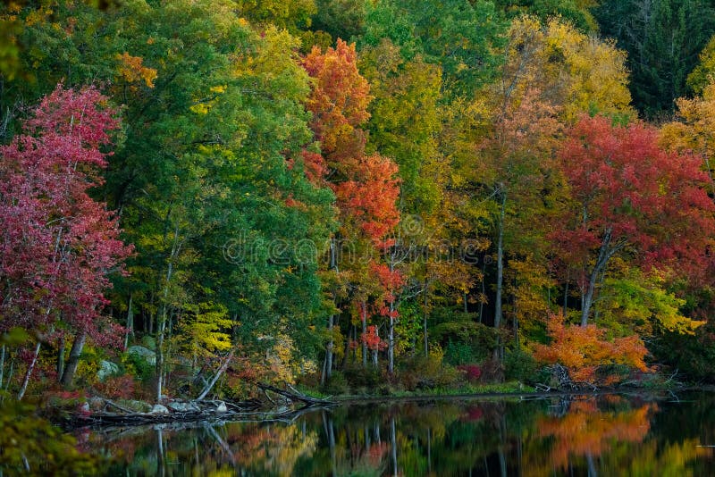 Colors of the Fall Season by the Lake Stock Photo - Image of stream ...