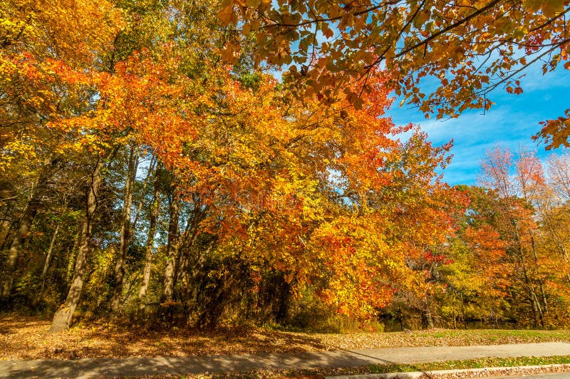 Colors of the fall stock image. Image of path, season - 102642073