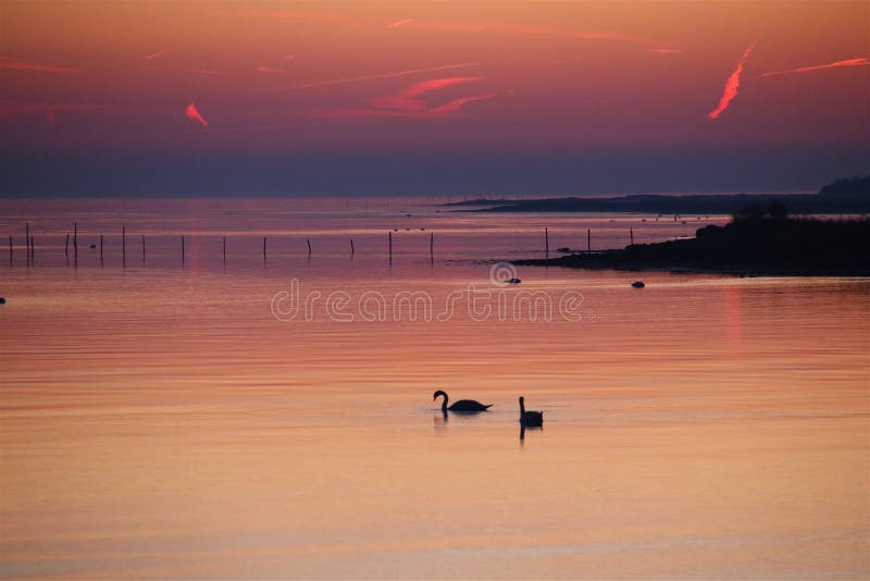 Colors Form a Stunning Scene Stock Image - Image of sunset, yellow ...