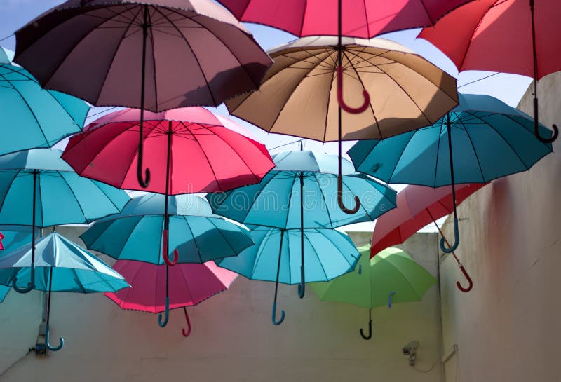 Umbrellas with Spring Flowers Stock Photo - Image of spring, brightly ...