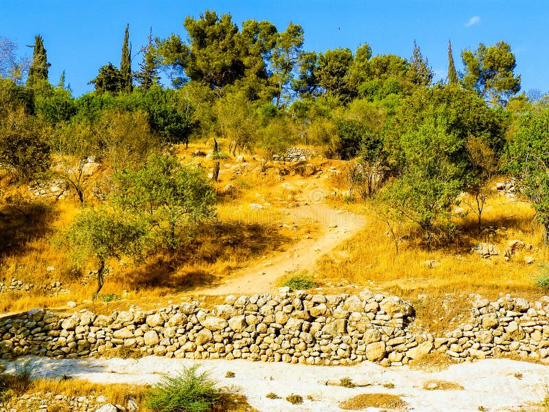 Colors of Israel stock image. Image of israel, mount - 99856979