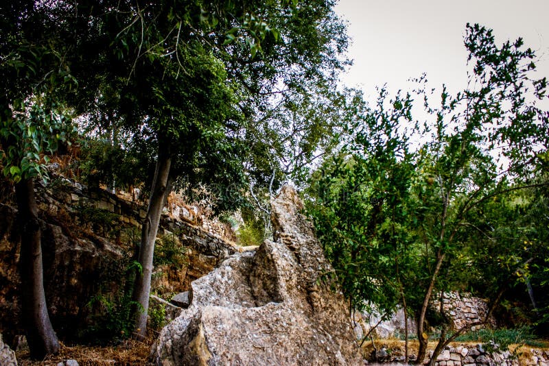 282 Mountains Around Jerusalem Photos - Free & Royalty-Free Stock ...