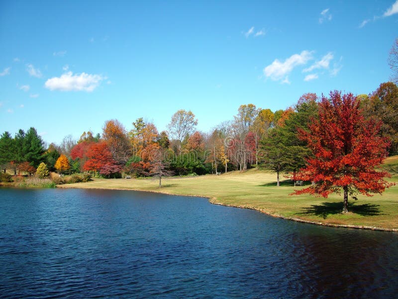 Fall Foliage stock image. Image of background, fall, autumn - 3462377
