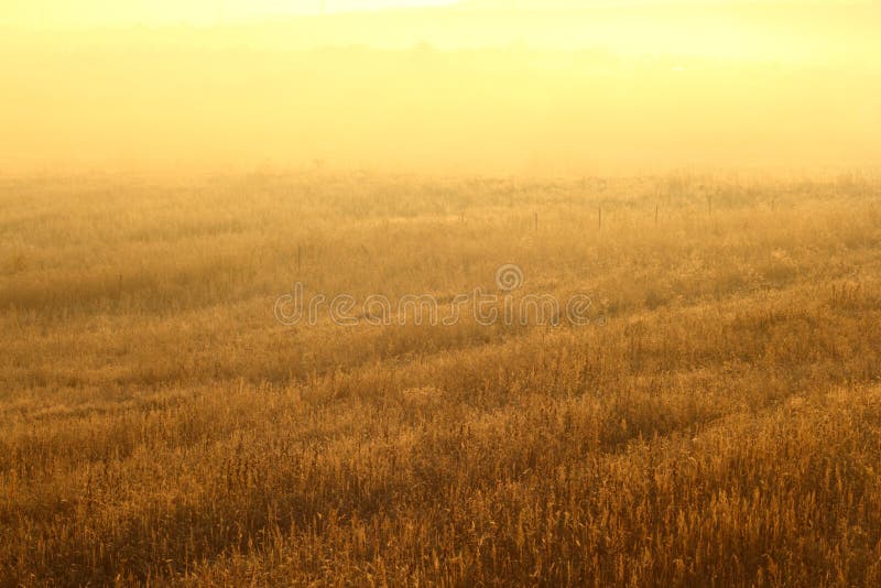 Colors of Morning in the Field Stock Image - Image of orange, green ...