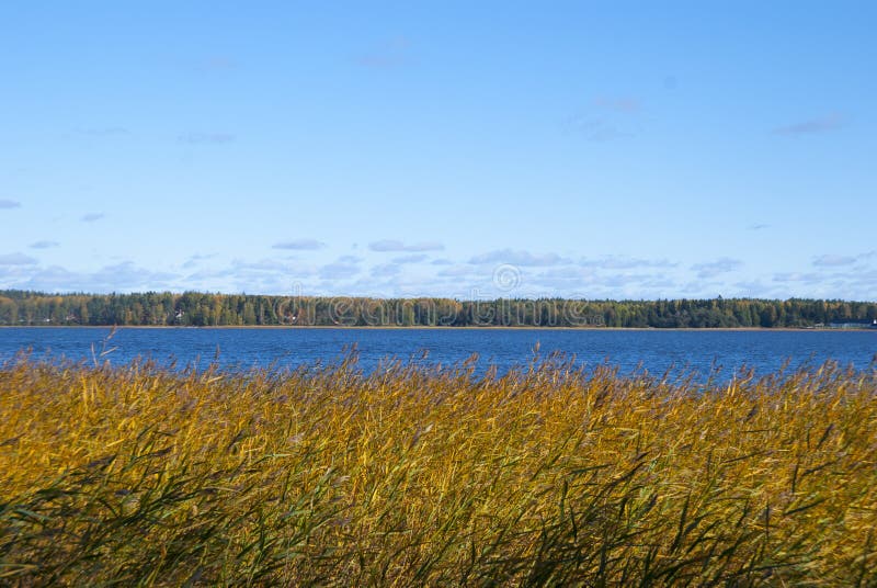 Colors of Nature. at the Blue Lake Background. Stock Photo - Image of ...