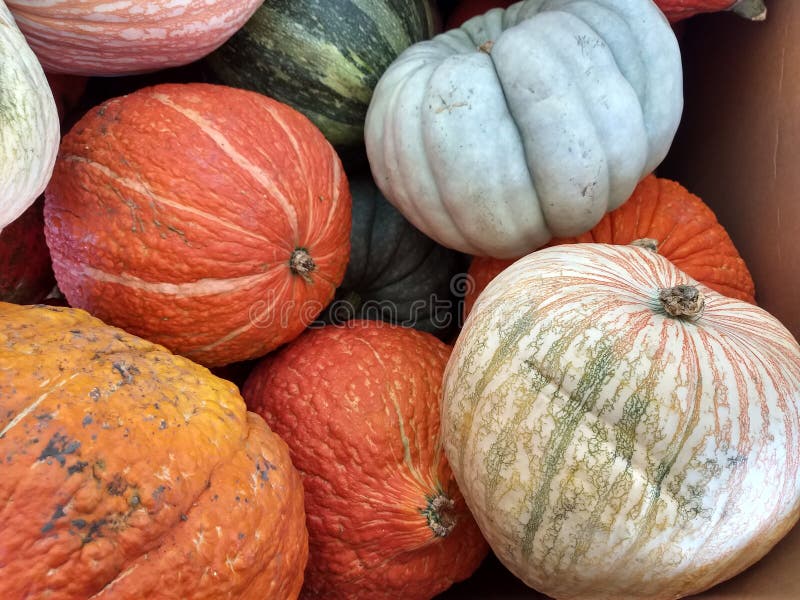 The Colors of October 3 stock image. Image of fall, october - 159565479