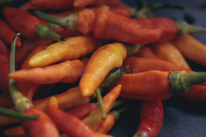 The Colors of Red Chili Pepper Stock Image - Image of closeup ...